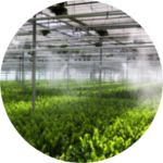 Meefog Systems: Industrial & Commercial Humidification Experts | Mee ...