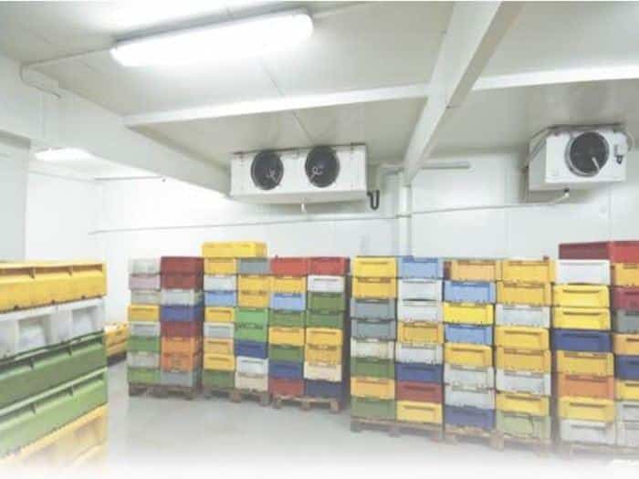 Meefog Fogging Systems for Ripening Room Humidification